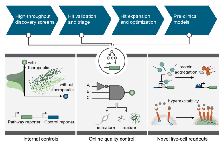 Publications – The Galloway Lab