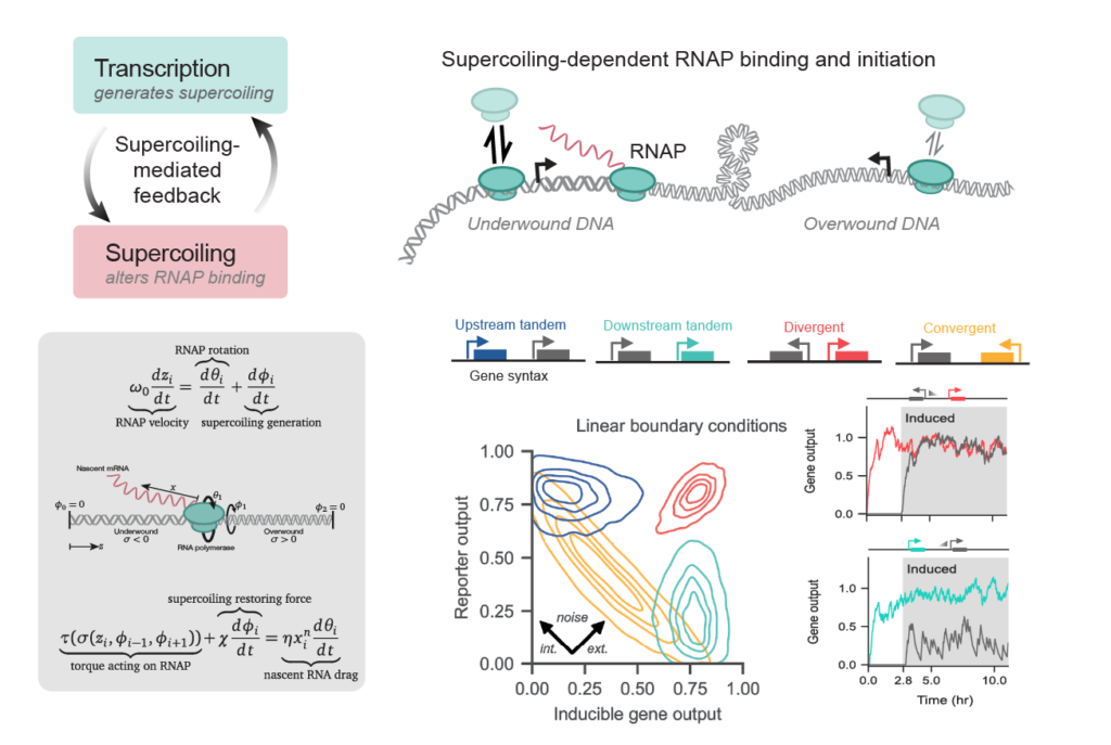Compact Circuit Design – The Galloway Lab
