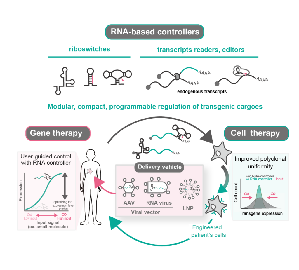 Publications – The Galloway Lab
